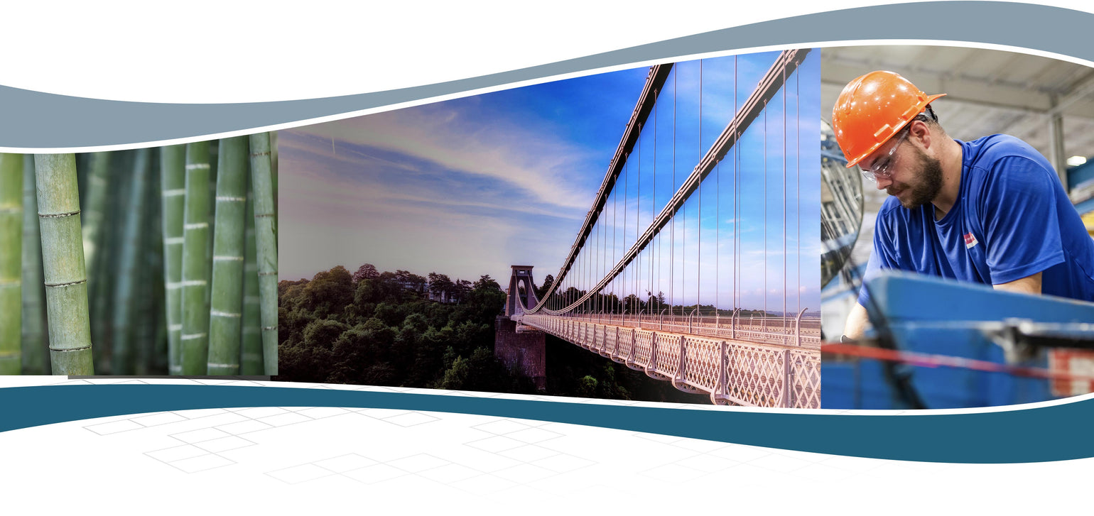 The Tildenet Group | More About Us